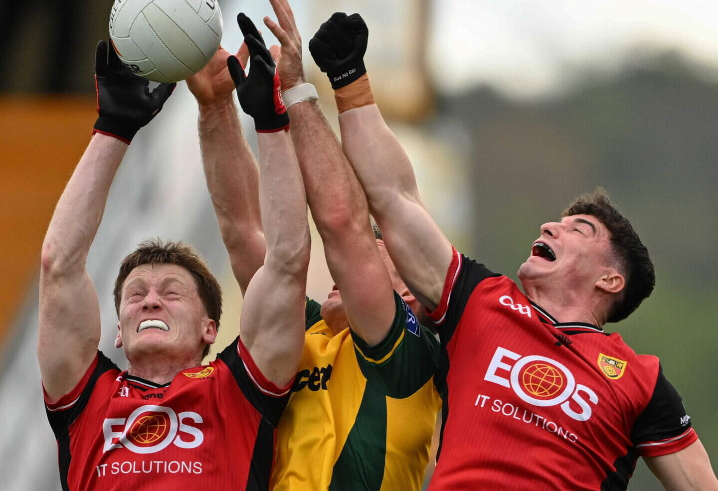 Tailteann Cup: Down hungry to bounce back off ropes after heavy Armagh ...
