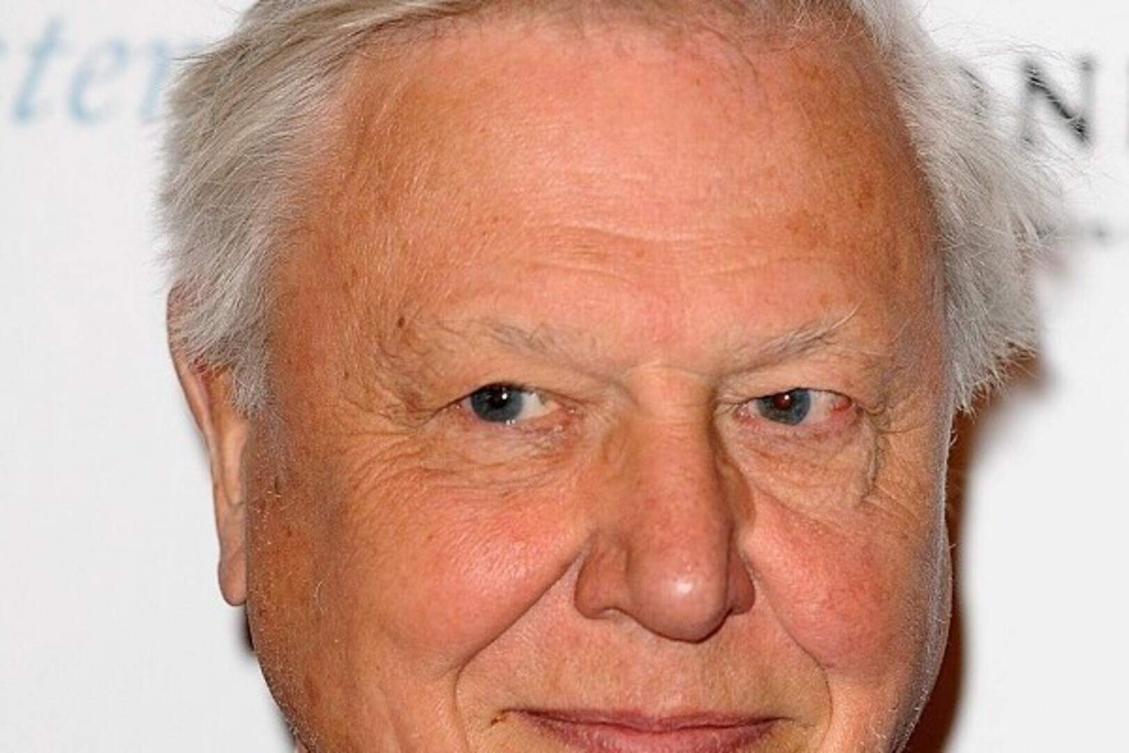 Polar joy for David Attenborough | Belfast Telegraph