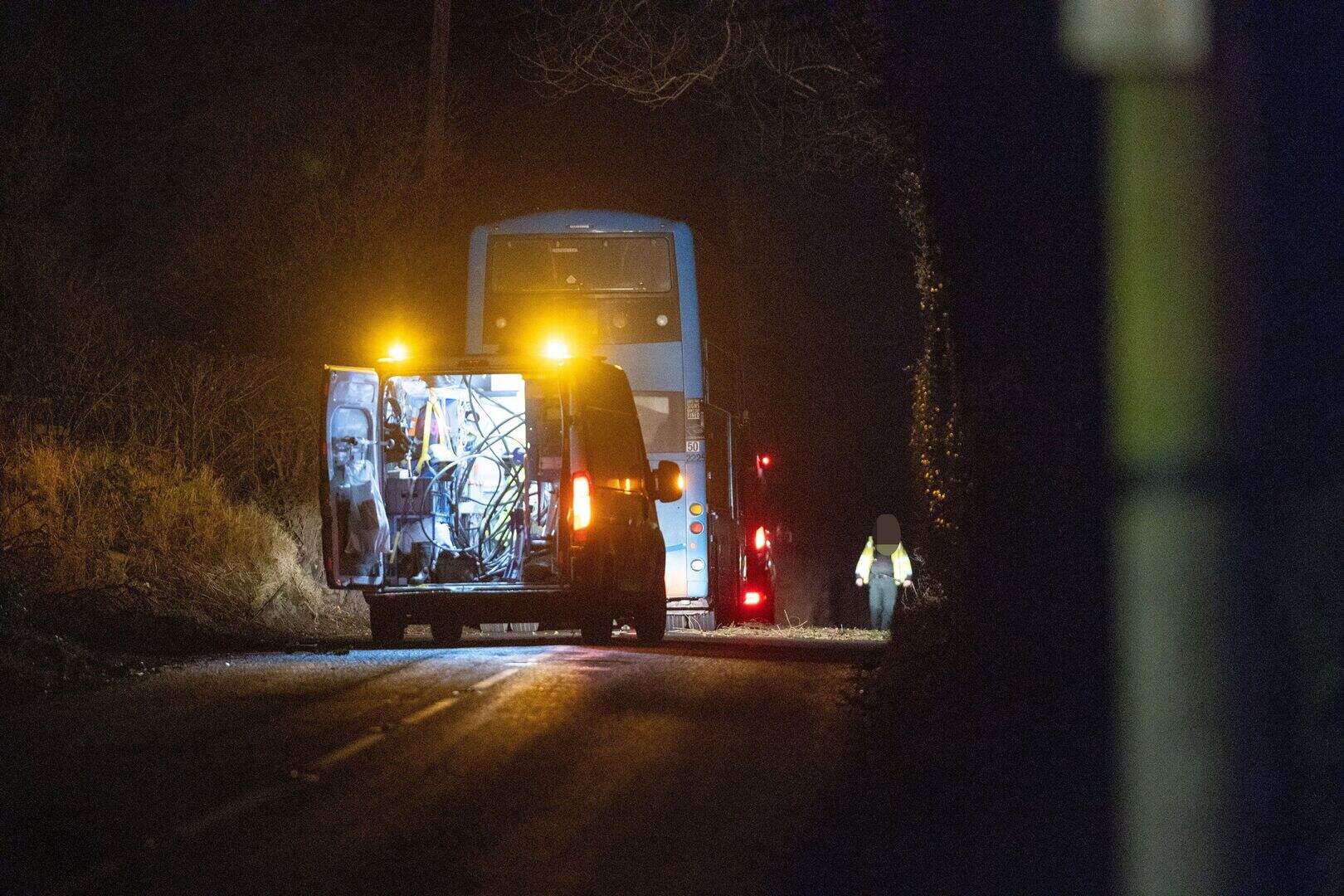 Glenavy Road, Lisburn, NI: Schoolbus crashes into fallen tree | Belfast ...