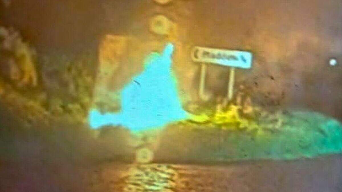 Madden Raparees: GAA sign burned in Co Armagh following historic ...
