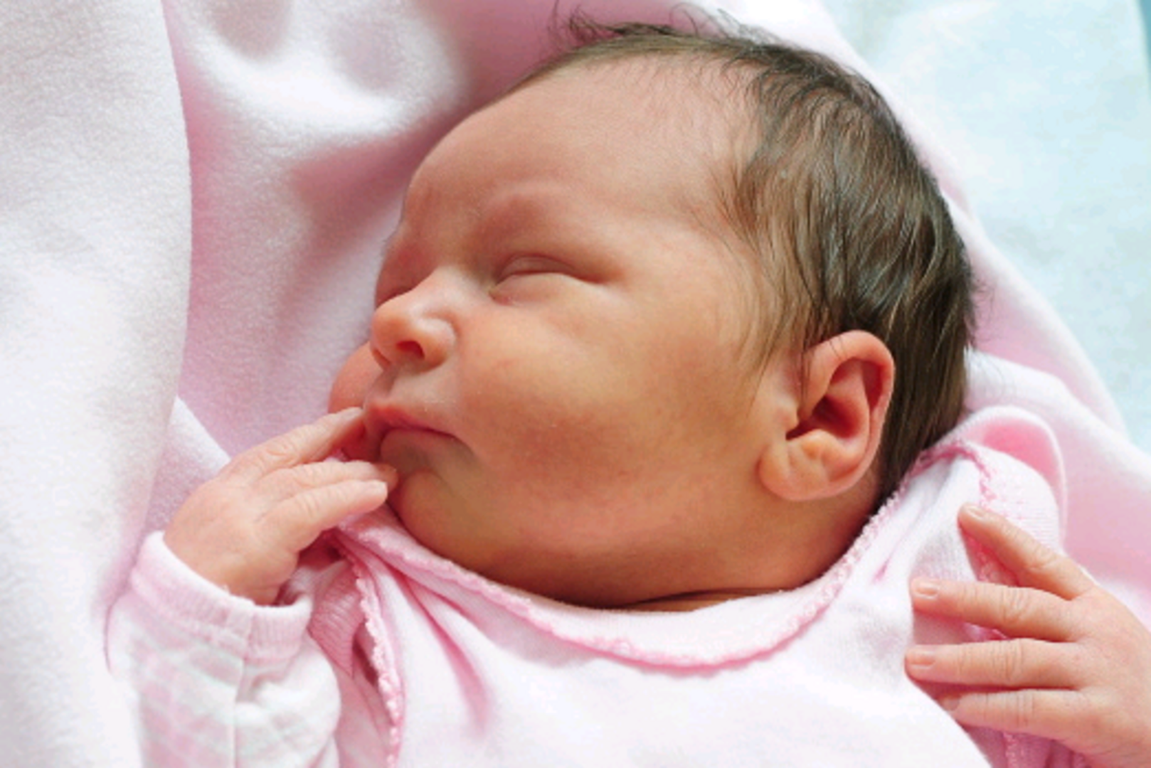 Just Born - Belfast Telegraph Readers' Pictures | Belfast Telegraph