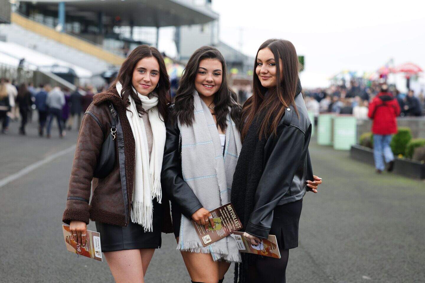 Down Royal: Spectators pictured at Metcollect Boxing Day Races ...