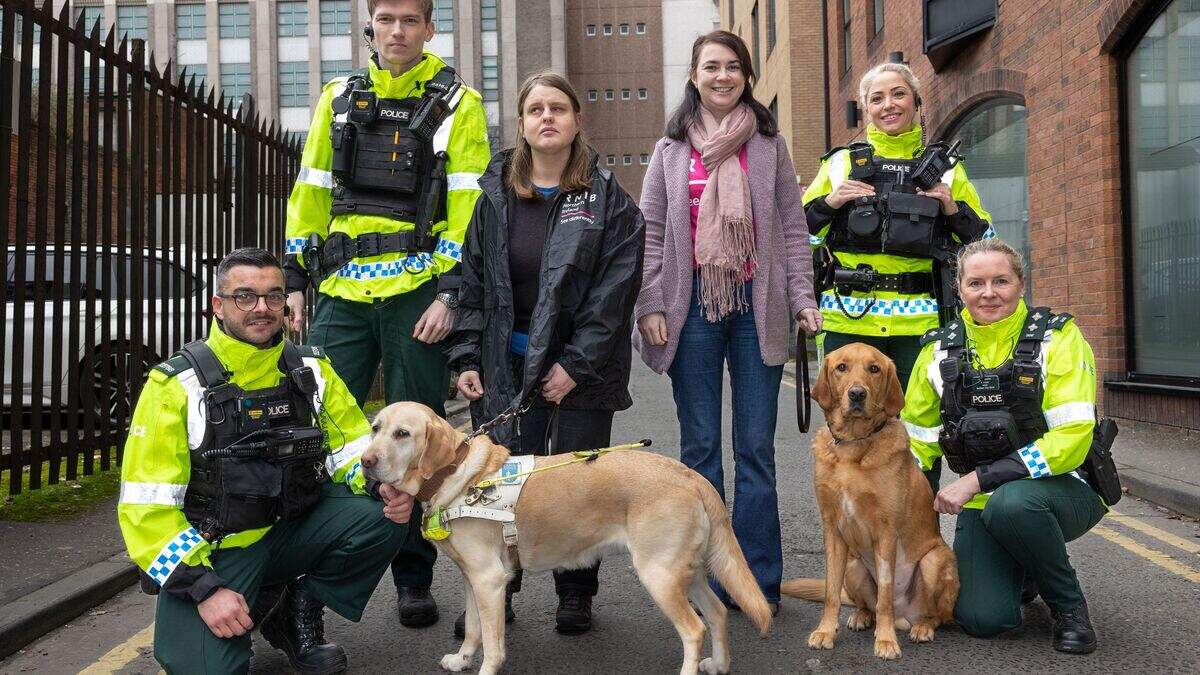 Partnership with RNIB will bring ‘valuable understanding’ of sight loss ...