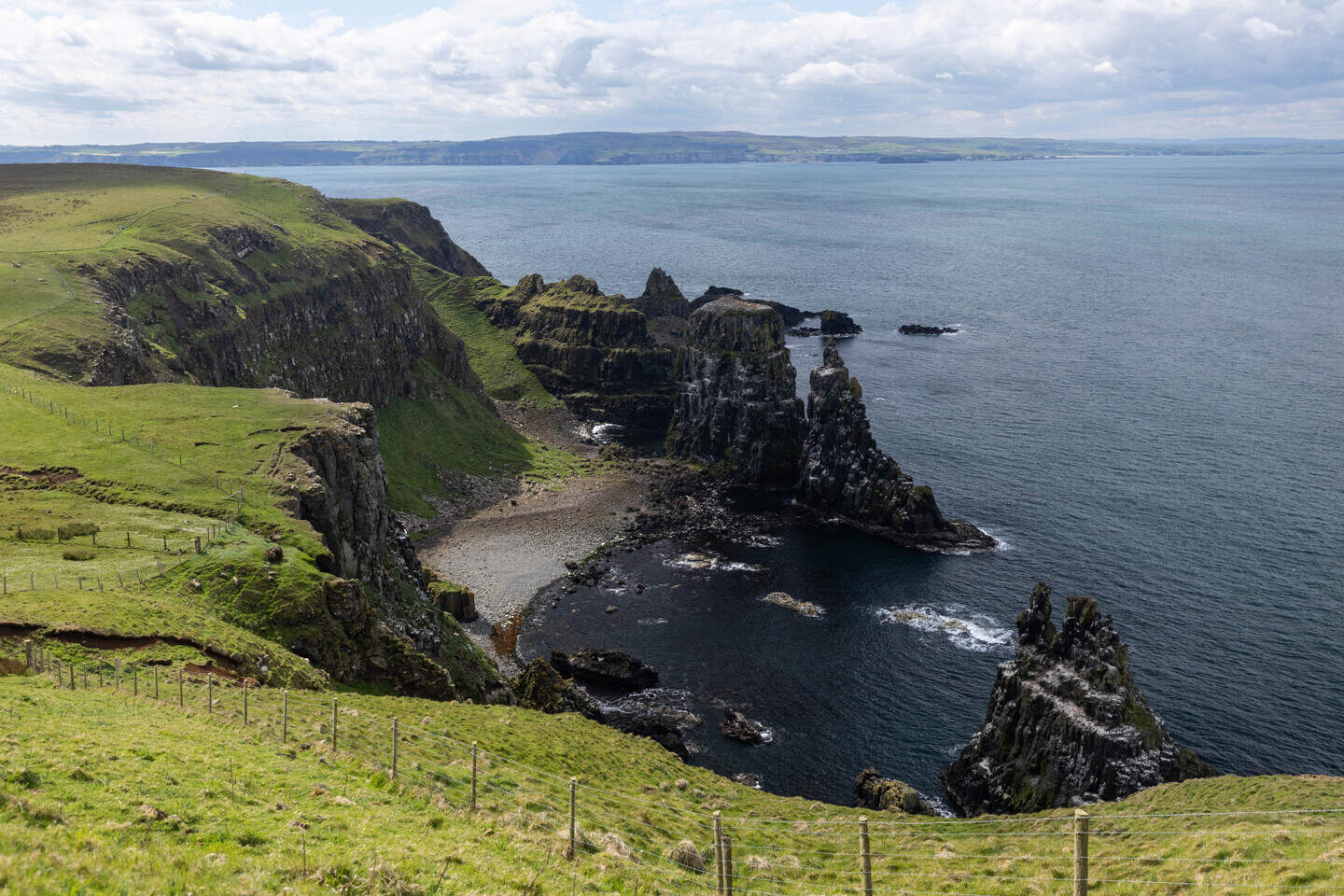 Puffins make welcome return to Rathlin Island for summer season: ‘They ...