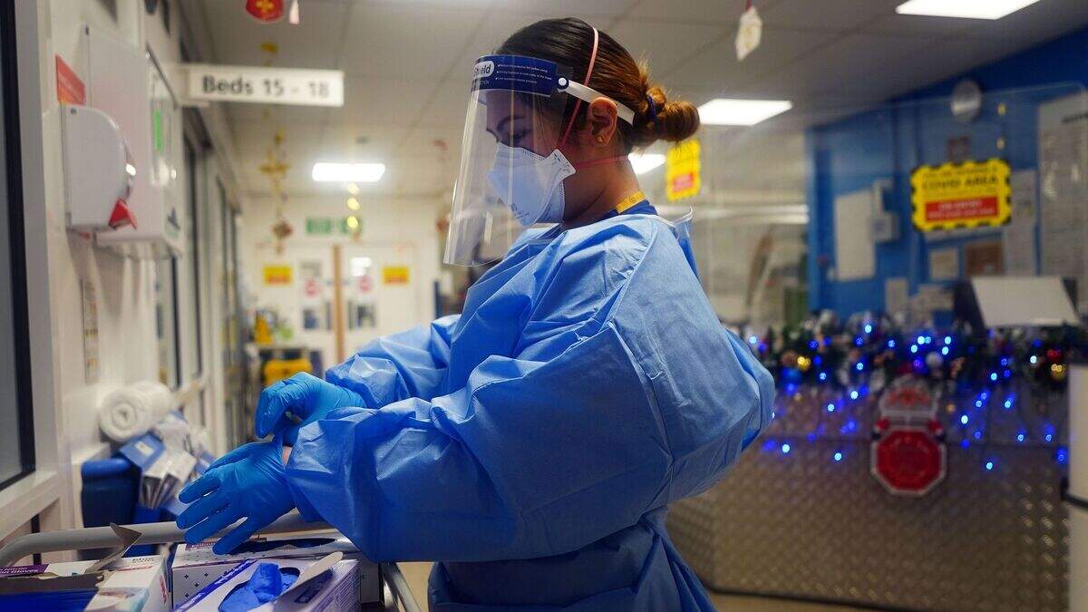 Leak suggests 18 more firms given ‘VIP lane’ treatment for PPE ...