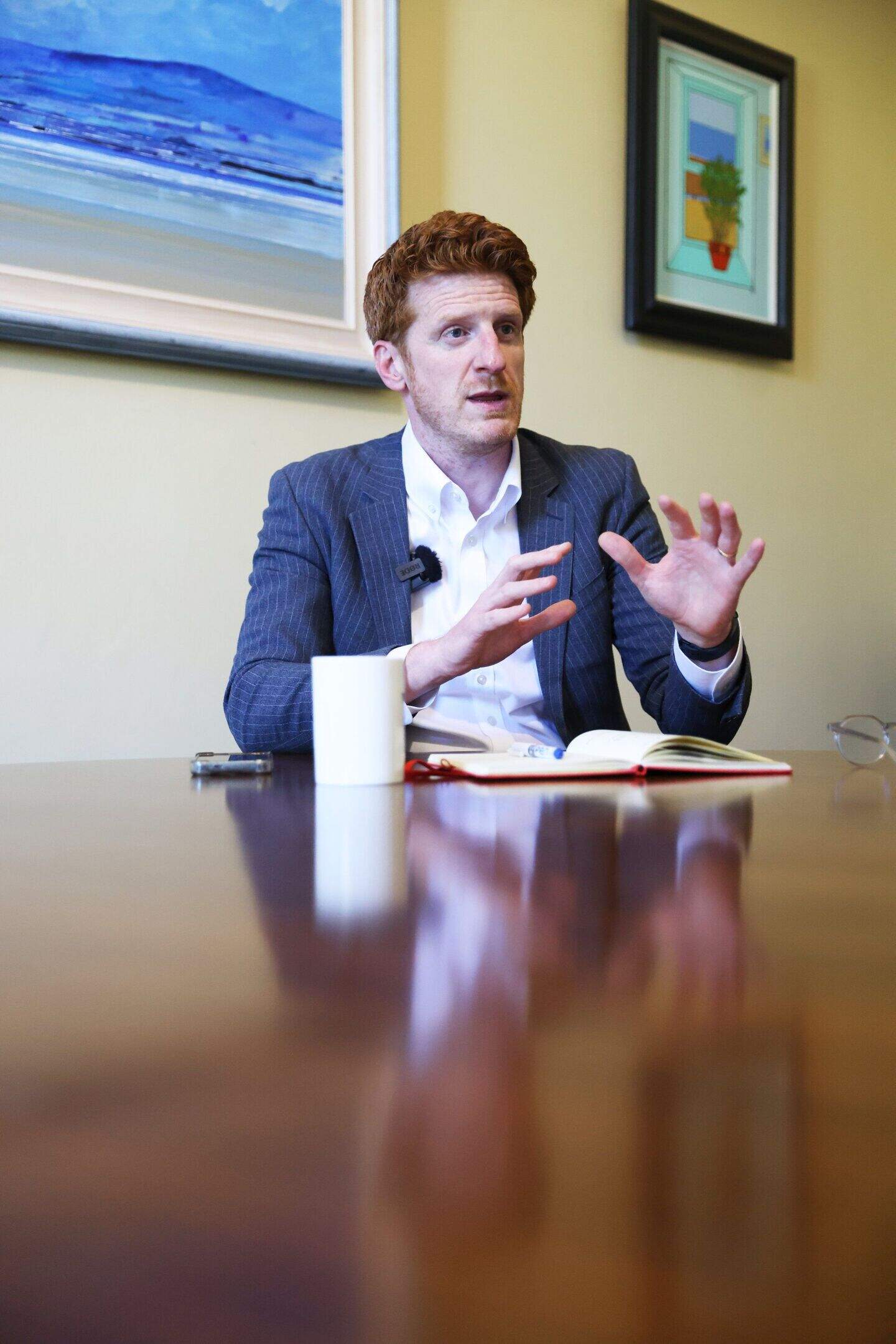 SDLP's Matthew O’Toole: ‘I was in the same year as Prince William and ...