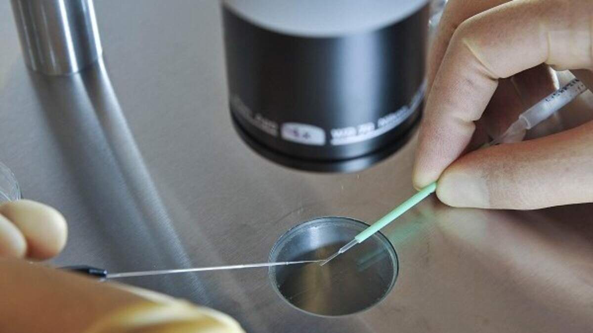 'Win a baby' IVF lottery condemned by fertility treatment regulator ...