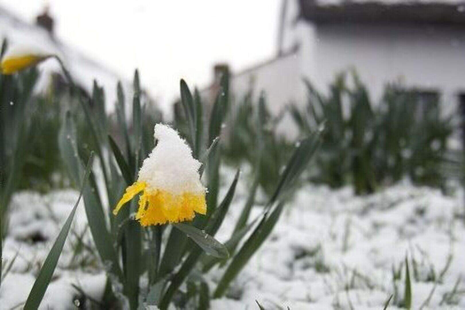 March set to be coldest since 1962 | Belfast Telegraph