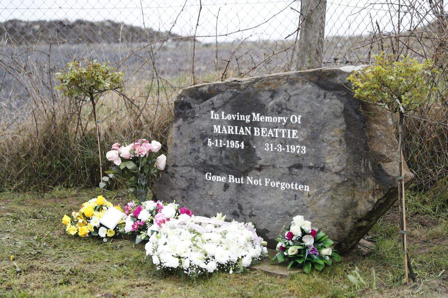 ‘We won’t let it go’: Marian Beattie’s family vow never to give up ...