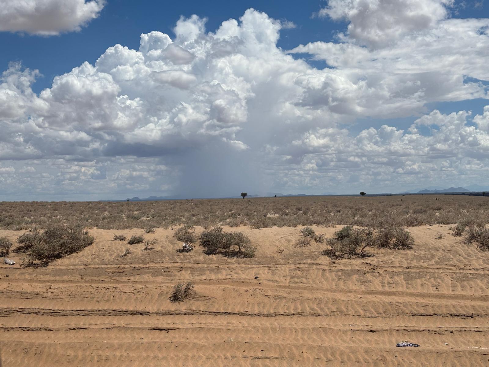‘How are we going to survive?’: Inside Kenya’s drought and chronic ...
