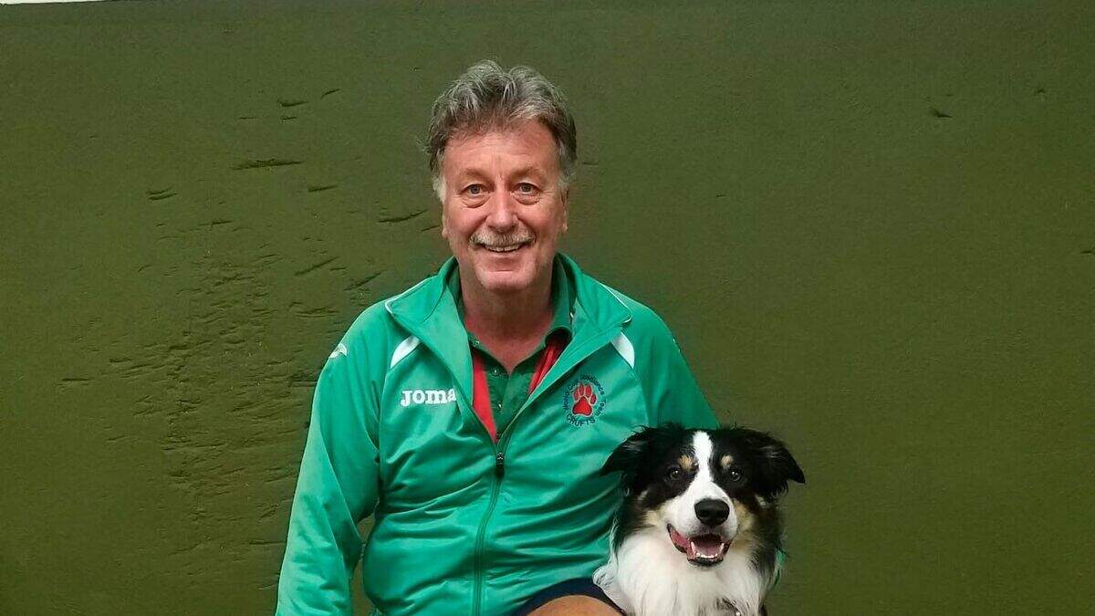 Northern Ireland judge Michael McCartney returns to Crufts to help ...