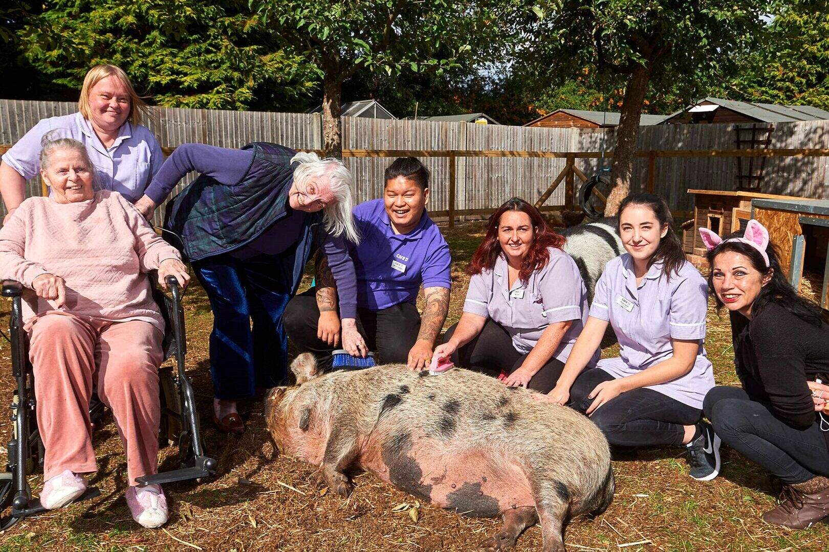 Pensioners welcome farmyard animals at care home | Belfast Telegraph