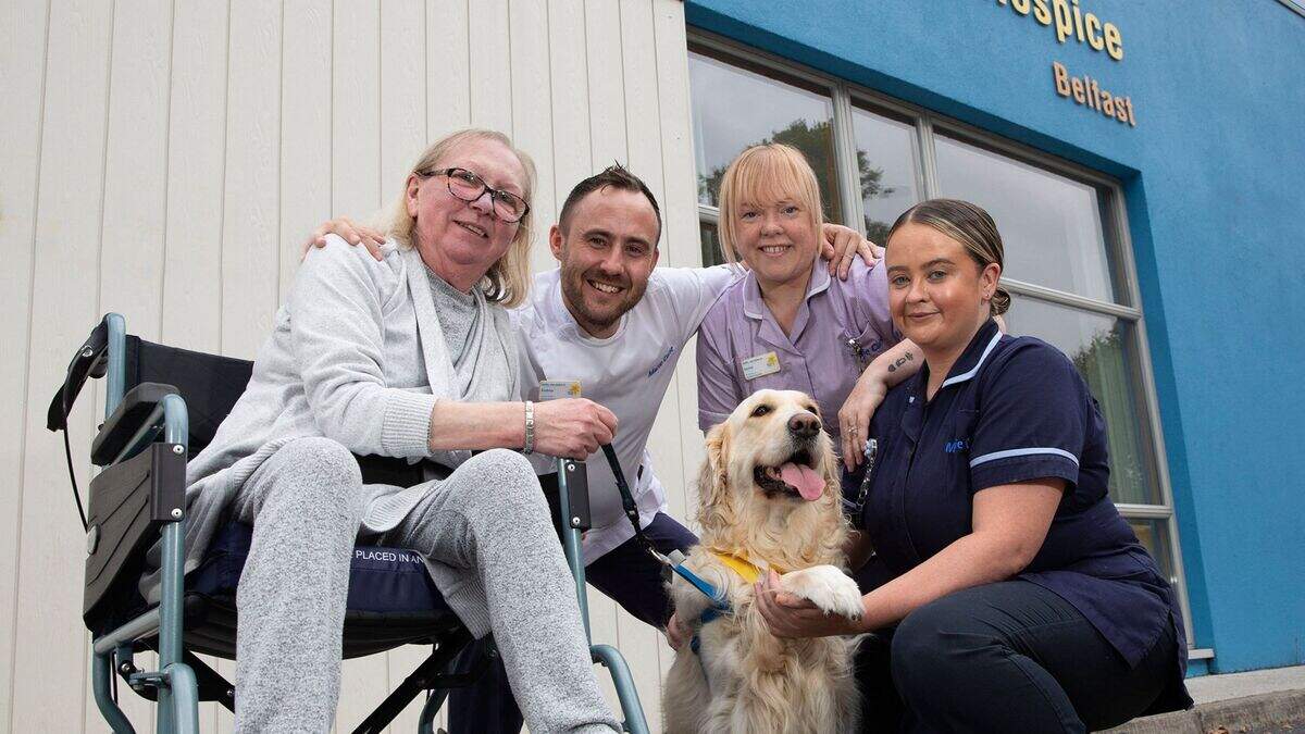 Therapy dog Sandi bringing a little comfort to hospice patients in ...