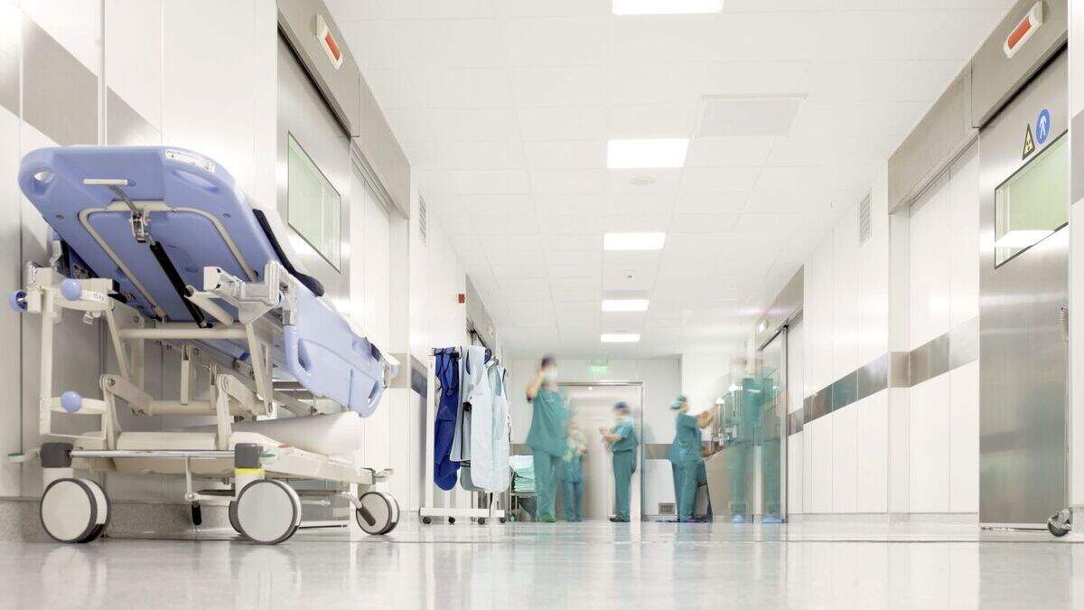Fears for NHS as number of EU nurses drops by 87% | Belfast Telegraph