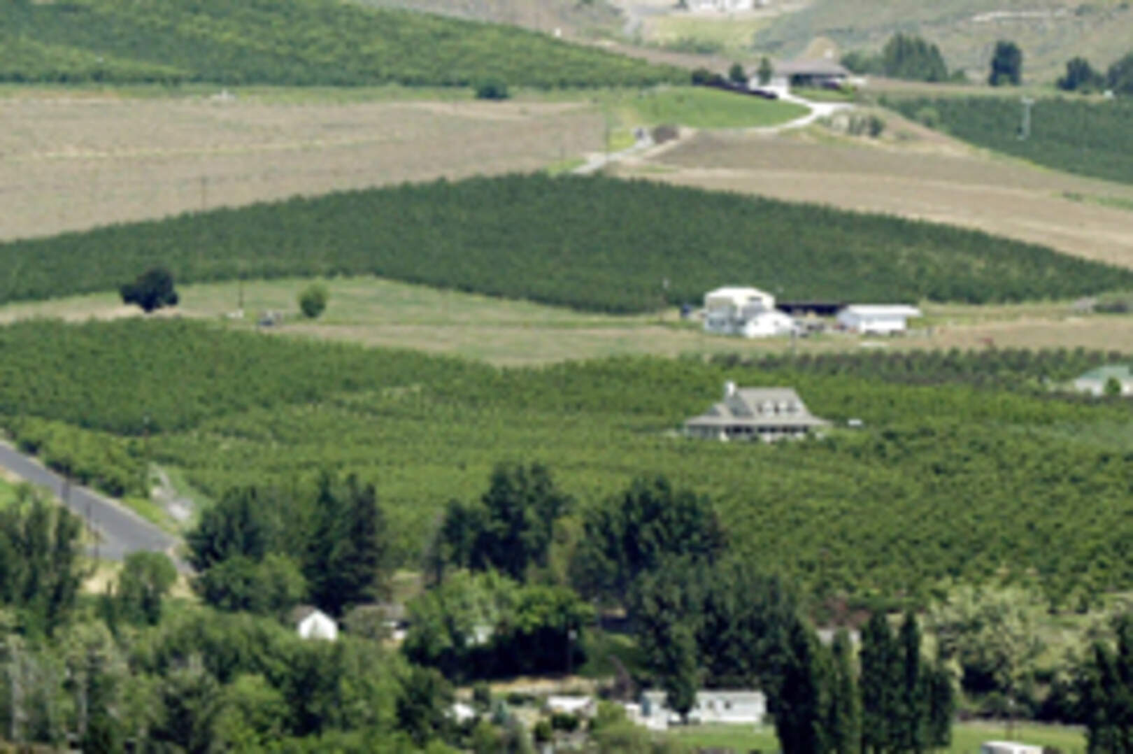 Elemental America: the other Washington | Belfast Telegraph