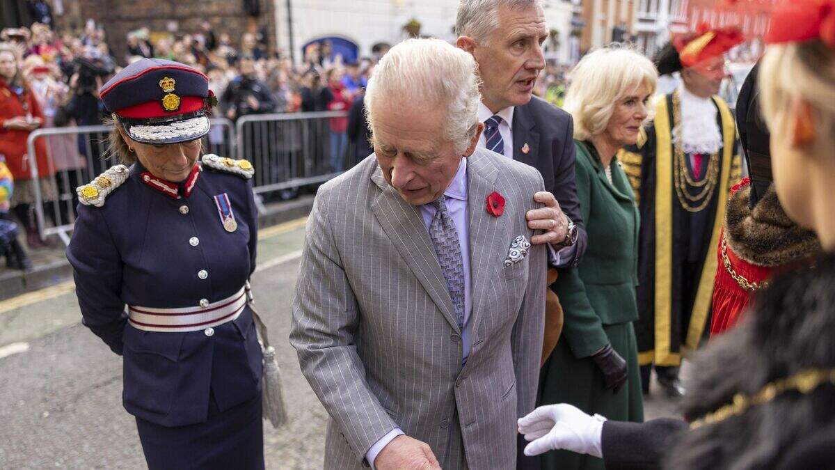 Student arrested for egging Charles and Camilla says crowd were raging ...