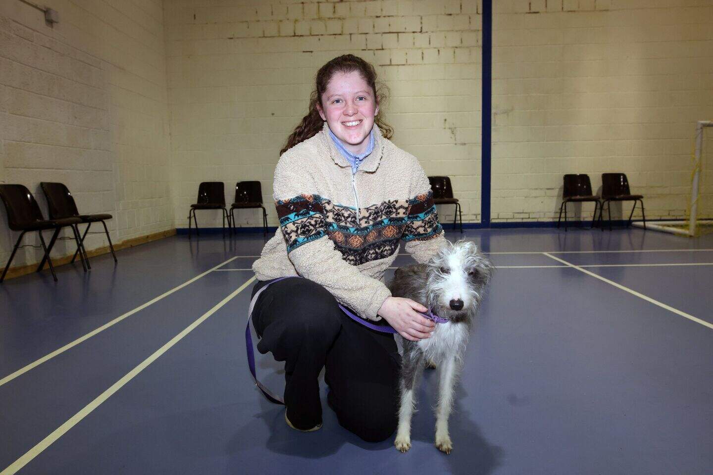 Crufts: Meet the three dogs flying the flag for Northern Ireland at ...