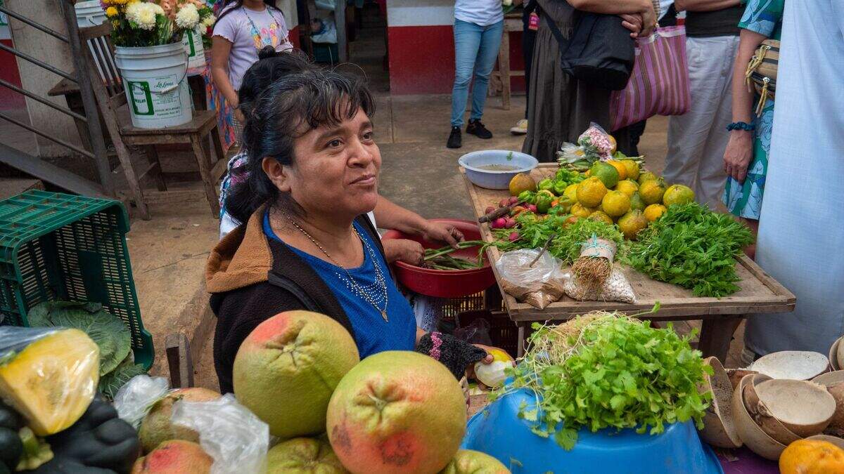 Mexico: Treat yourself and your taste buds on a trip to the Yucatán ...
