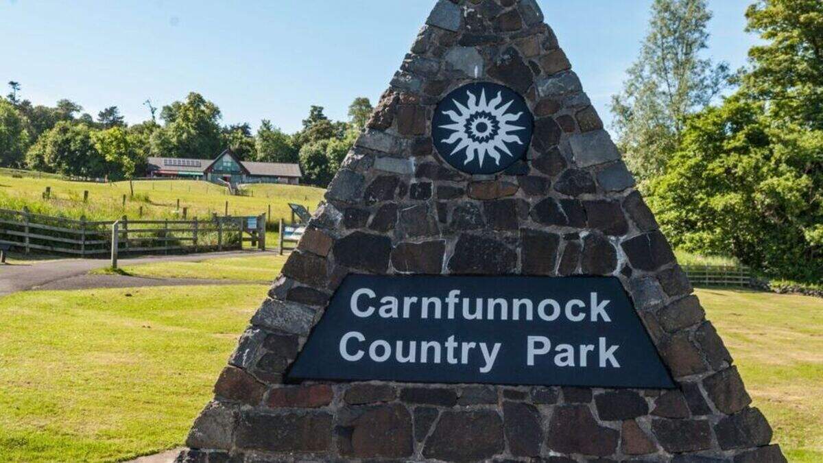 Popular Co Antrim country park to close for 18 months as part of ...