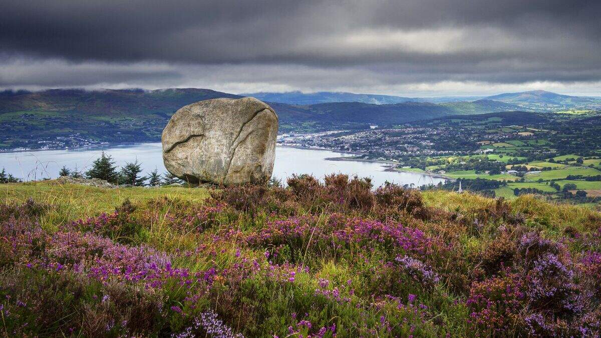 Gondola relocation plan a slap in the face for the people of Rostrevor ...