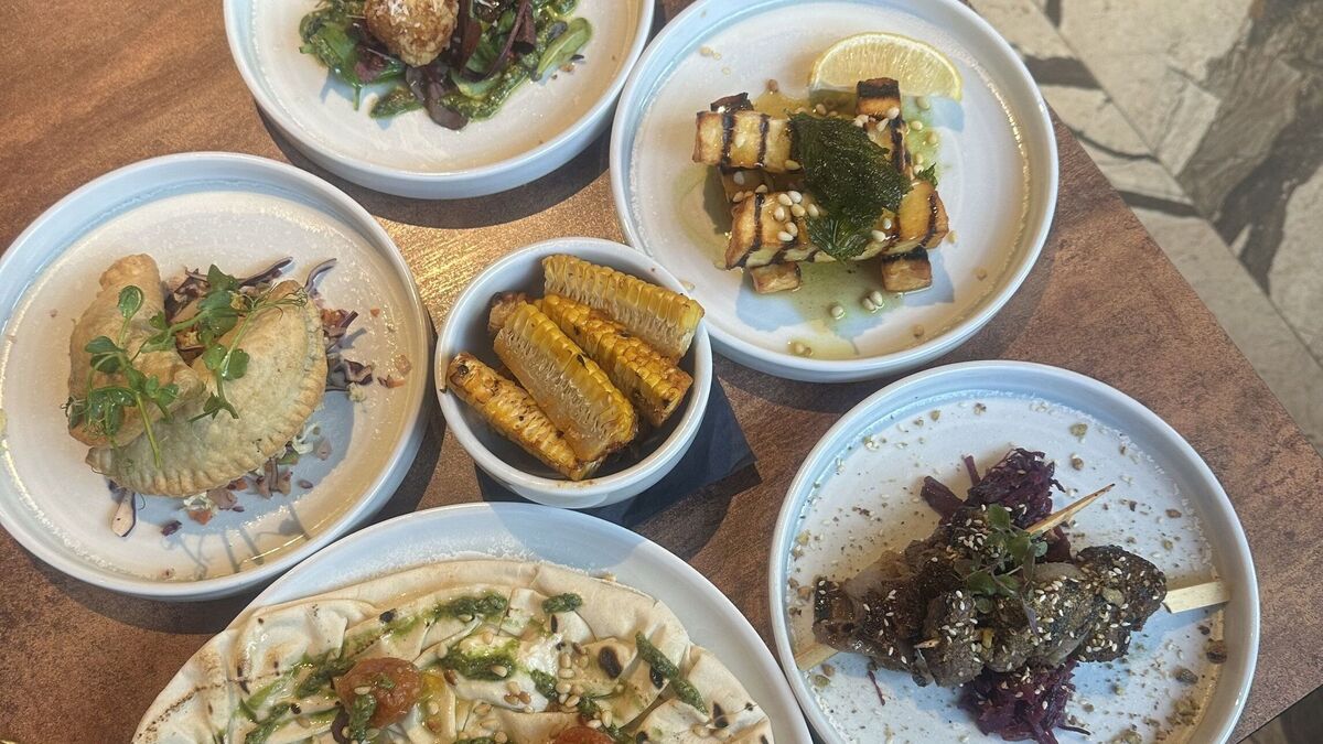 Shimna Lounge review: Newcastle's Anchor Bar reinvents itself with ...