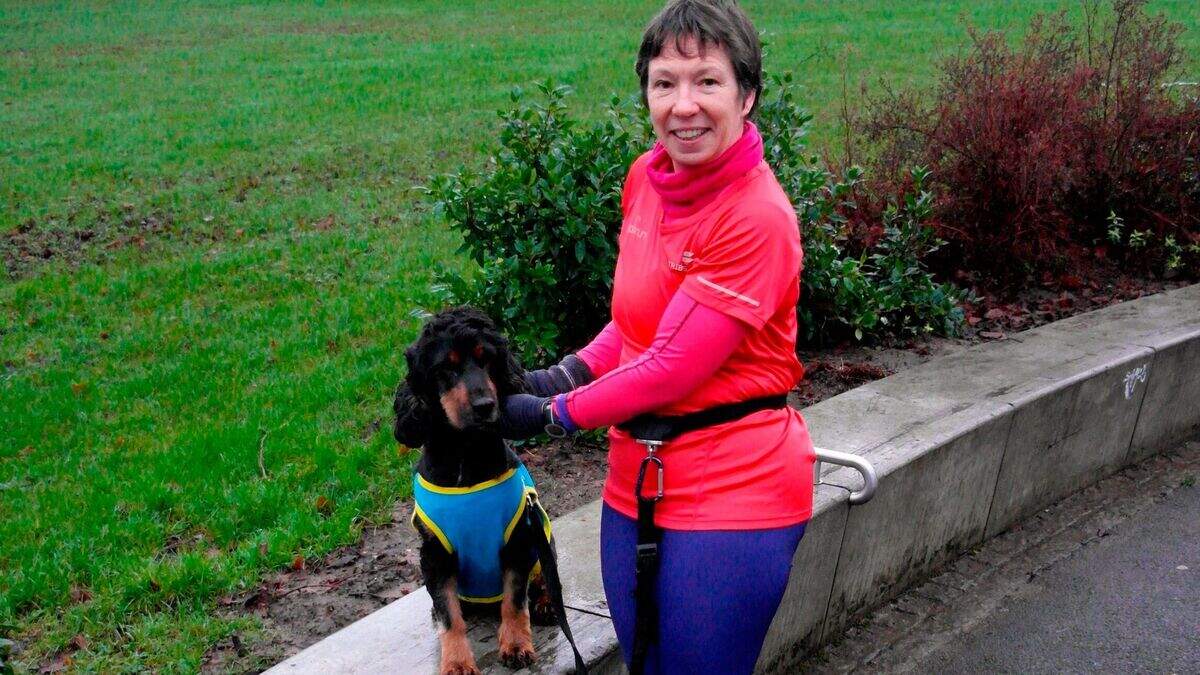 Data-swiping Parkrun accused of taking ‘sledgehammer to crack nut’ amid ...
