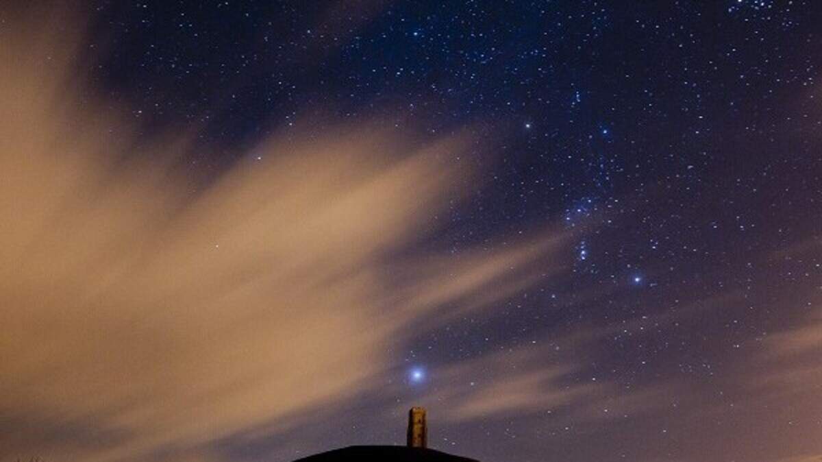 Light pollution 'helps wildlife' | Belfast Telegraph
