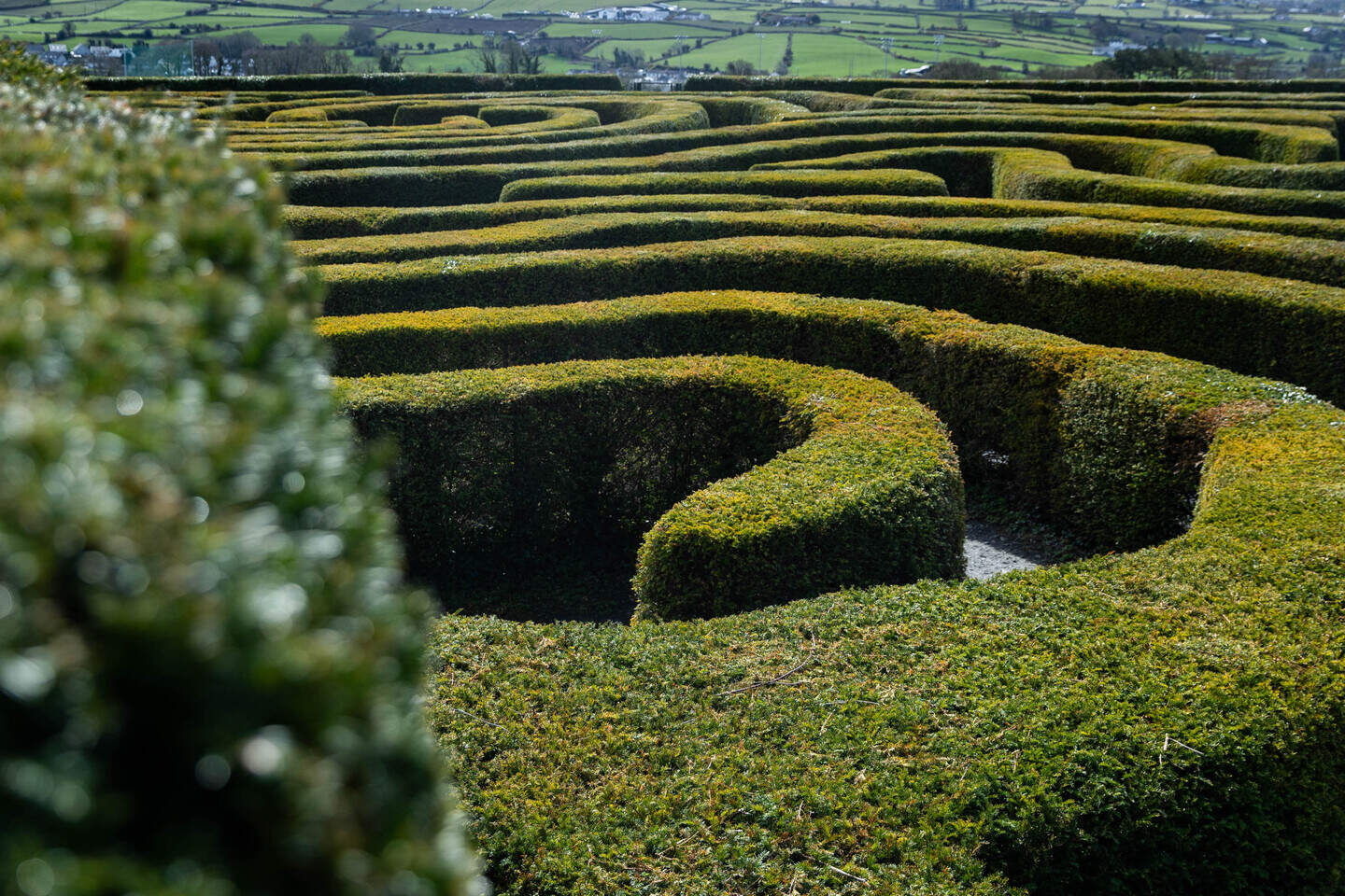‘The maze was deliberately created with peace in mind, so that it’s ...