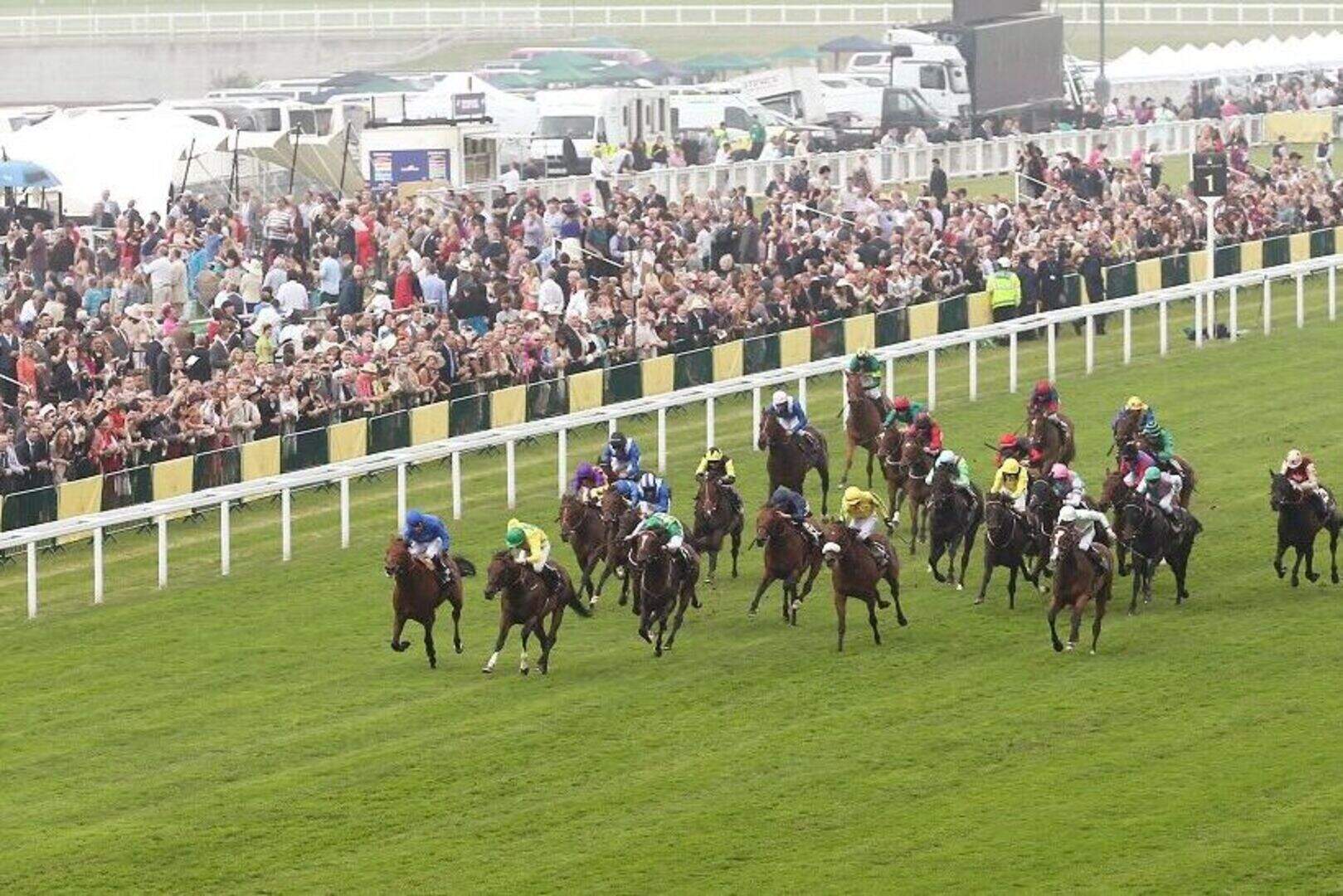 Chelmsford punters will have Busby's number | Belfast Telegraph