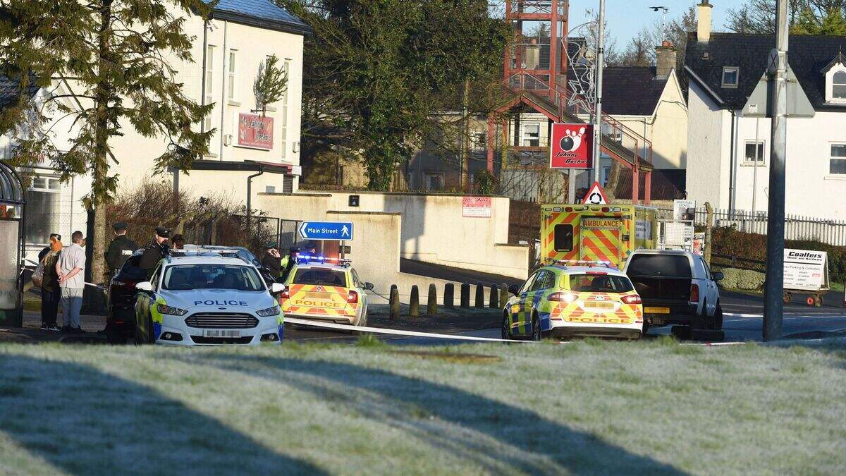 Elaine McGarrity: Co Tyrone driver who killed pedestrian claimed victim ...