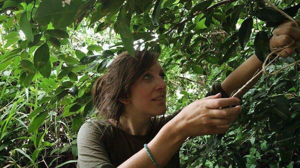 Jungle Britons endure five-day survival battle after wrong canoe turn ...