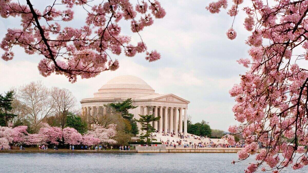 Travel Review: The streets of Washington D.C. are both familiar and ...