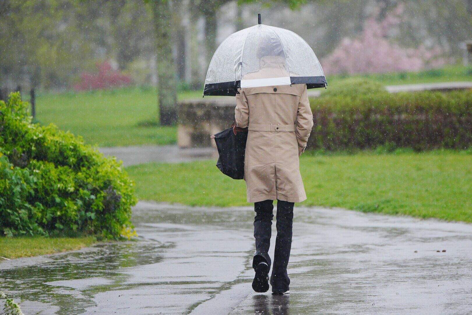 Northern Ireland weather forecast: Met Office issues yellow rain and ...