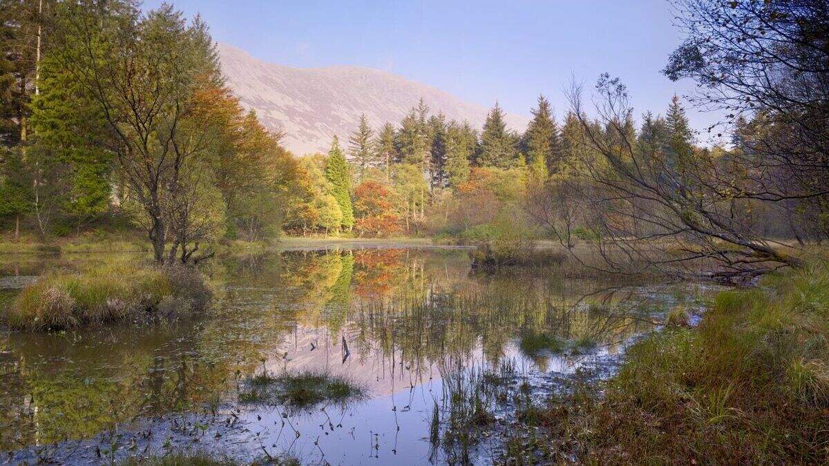 Wild landscape in Lake District designated as ‘super’ national nature ...