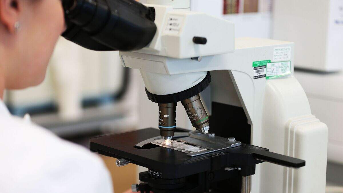 Antiviral made from sugar ‘may be game changer for diseases like ...