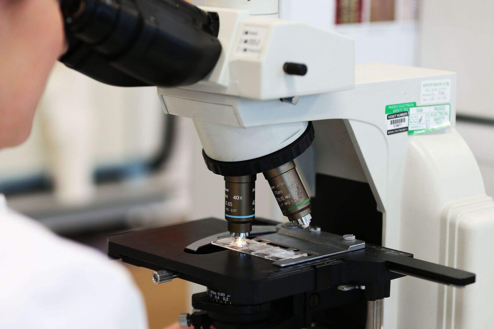 Antiviral made from sugar ‘may be game changer for diseases like ...