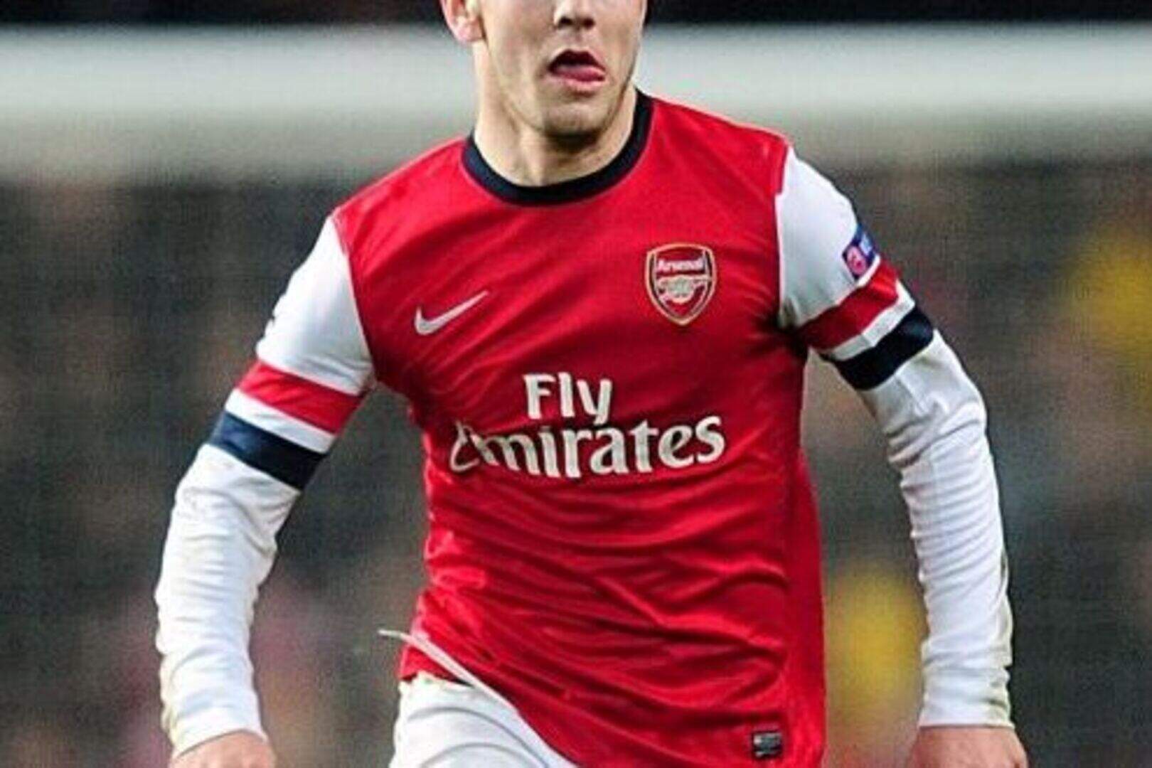 Wilshere out for three weeks | Belfast Telegraph