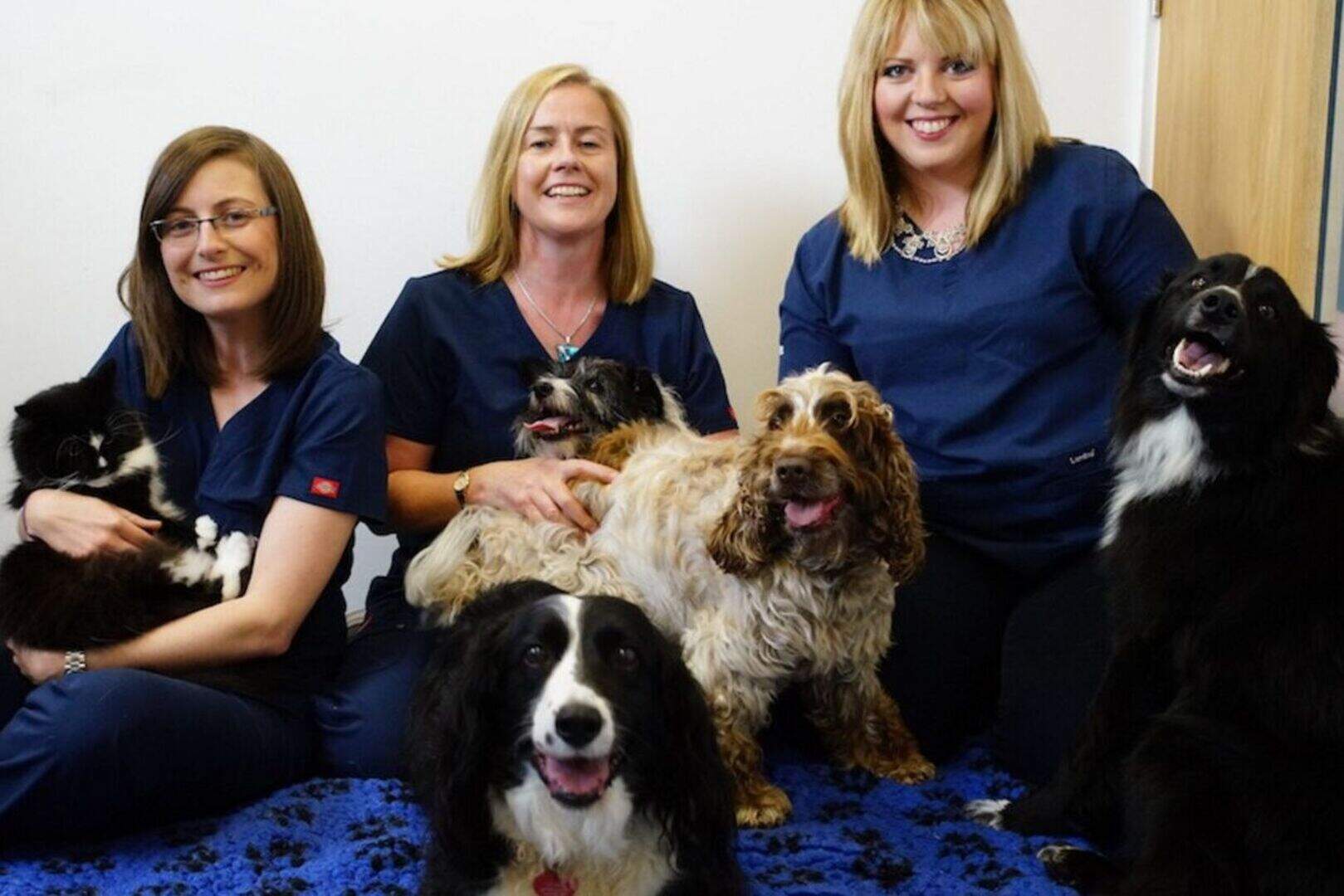 Meet Northern Ireland's very own supervet, whose treatments for ailing ...