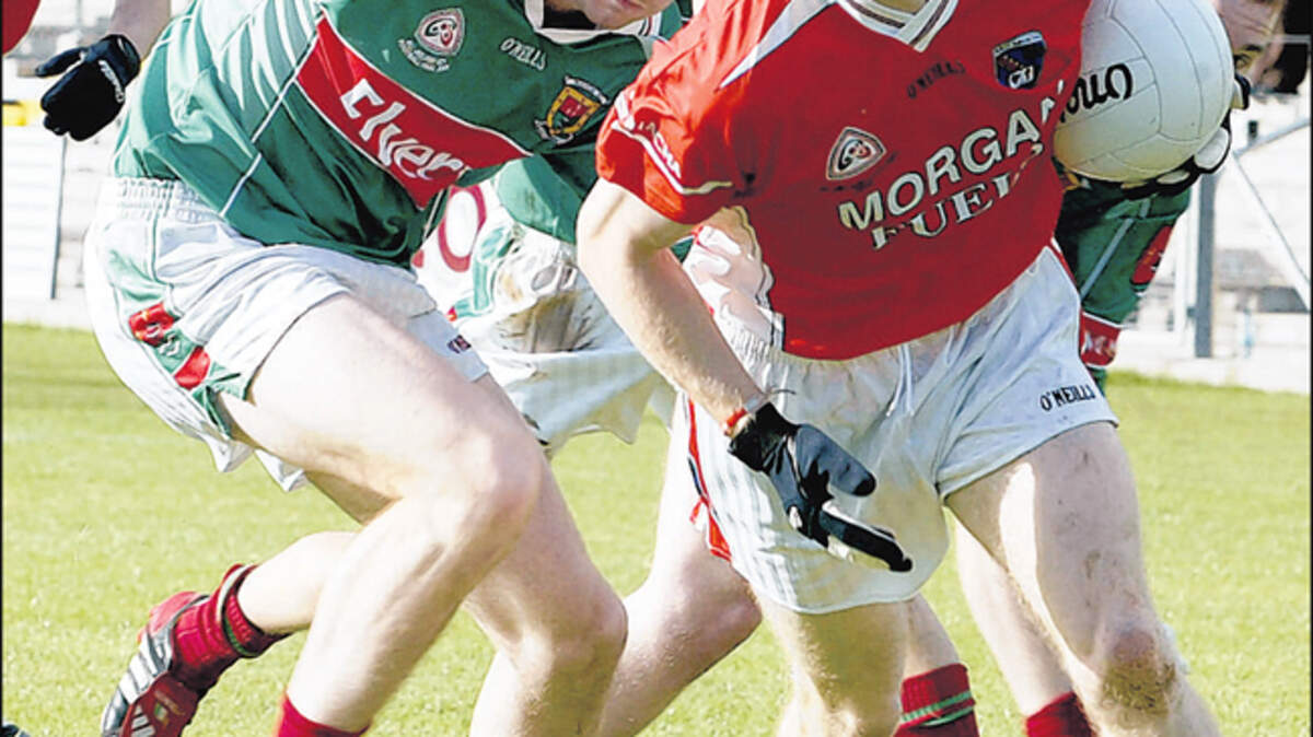 Armagh are getting back in the groove | Belfast Telegraph