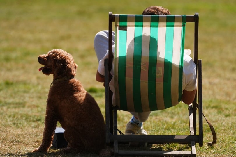 Warmest spring in England and Wales since records began | Belfast Telegraph