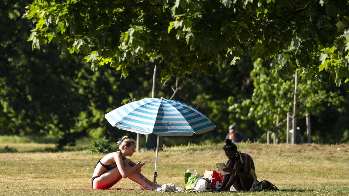 NHS website visits surge as people seek tips for heatstroke and sunburn ...