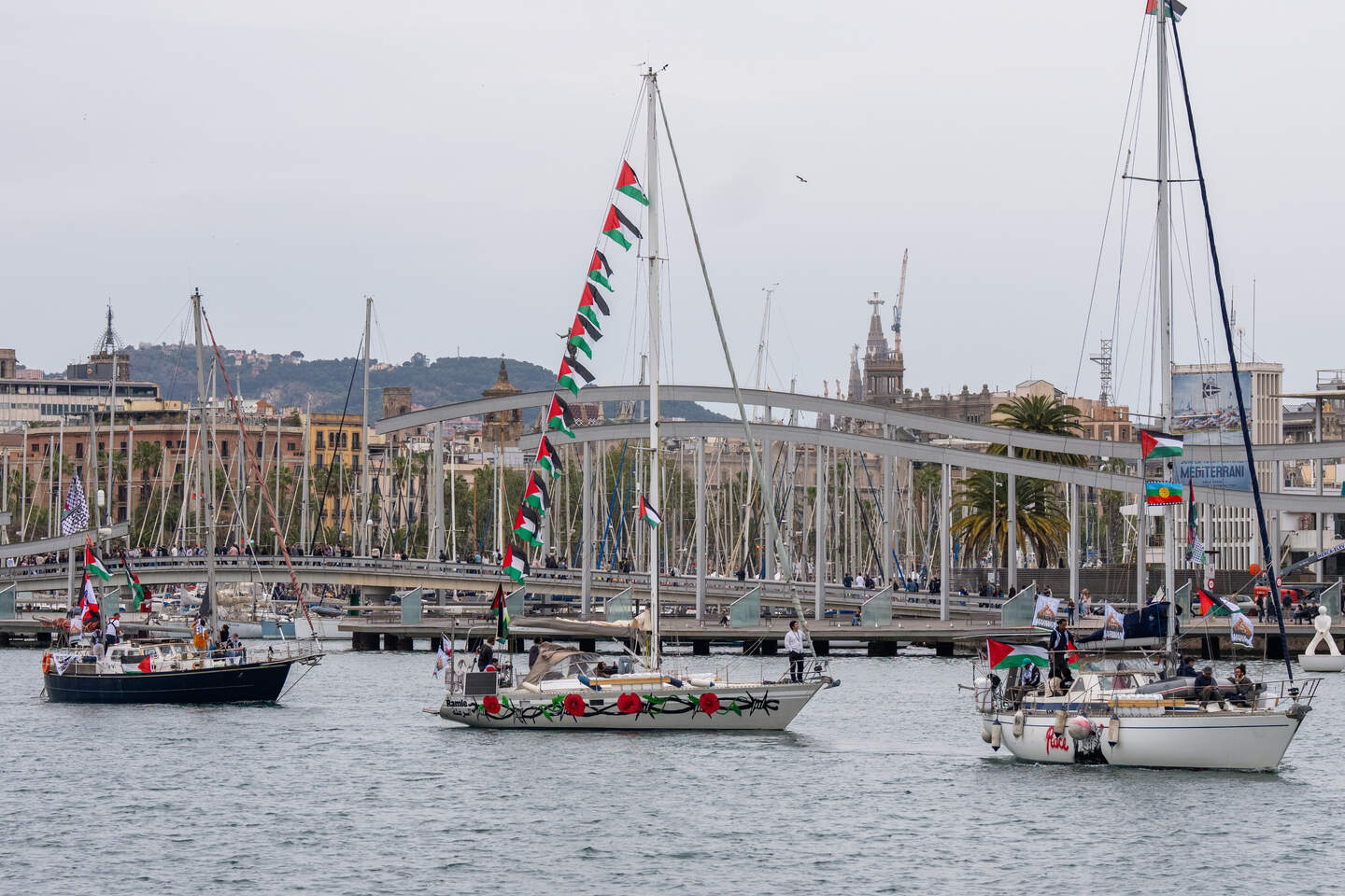 Crews detained as Israel intercepts Gaza aid flotilla near Crete ...