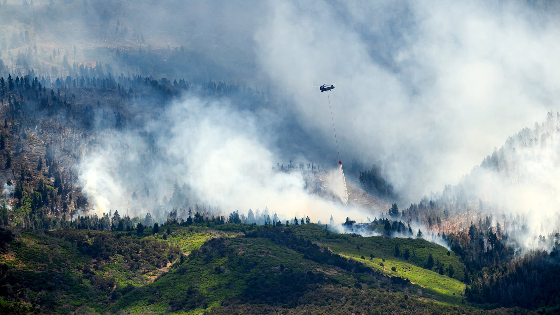 Three firefighters killed tackling wildfires on Colorado-Utah border ...